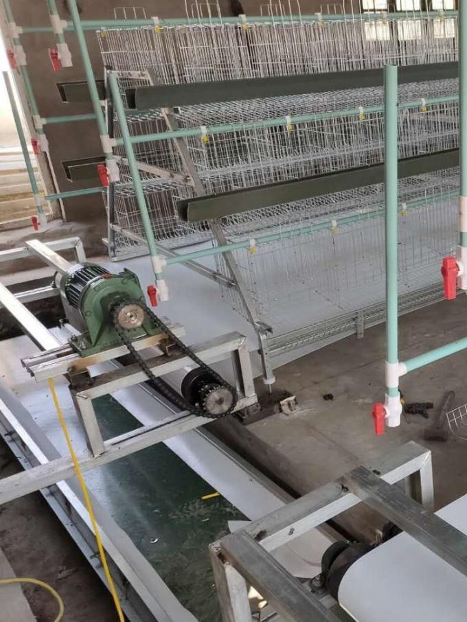 Precautions for Using the Chicken Manure Conveyor Belt at Poultry Farms