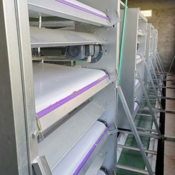 Guide for Manure Removal Belt Systems Daily Use and Maintenance in ...
