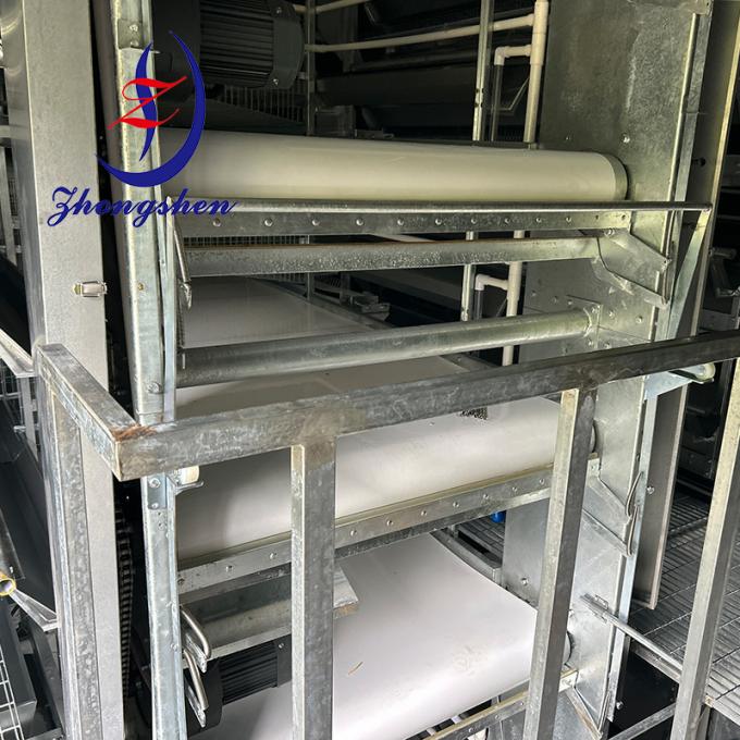 Zhongshen Brand Manure Removal Belt-China Top Poultry Manure Belt Factory