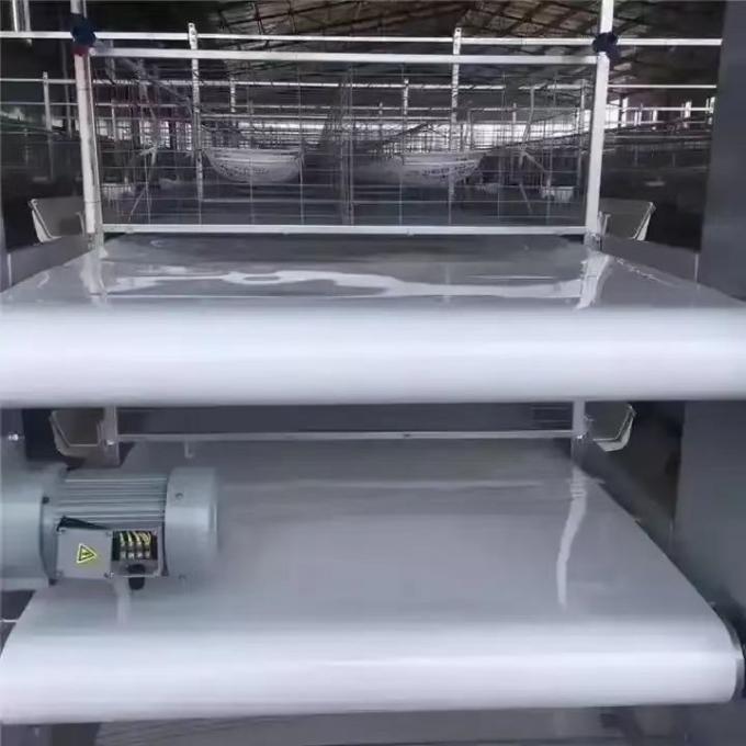 The 2025 Ultimate Procurement Guide for Poultry Manure Belts