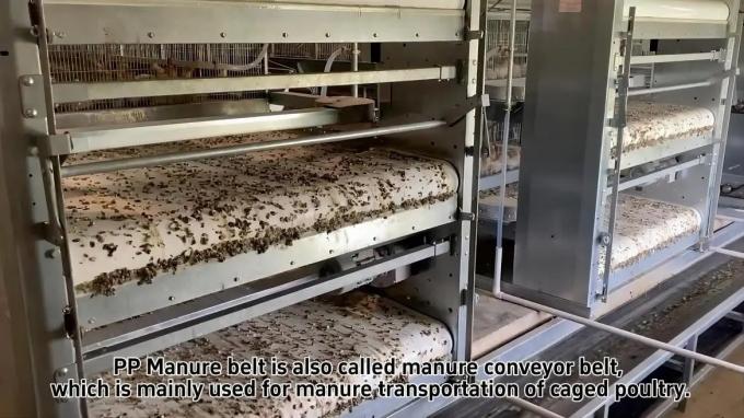 The 2025 Ultimate Procurement Guide for Poultry Manure Belts