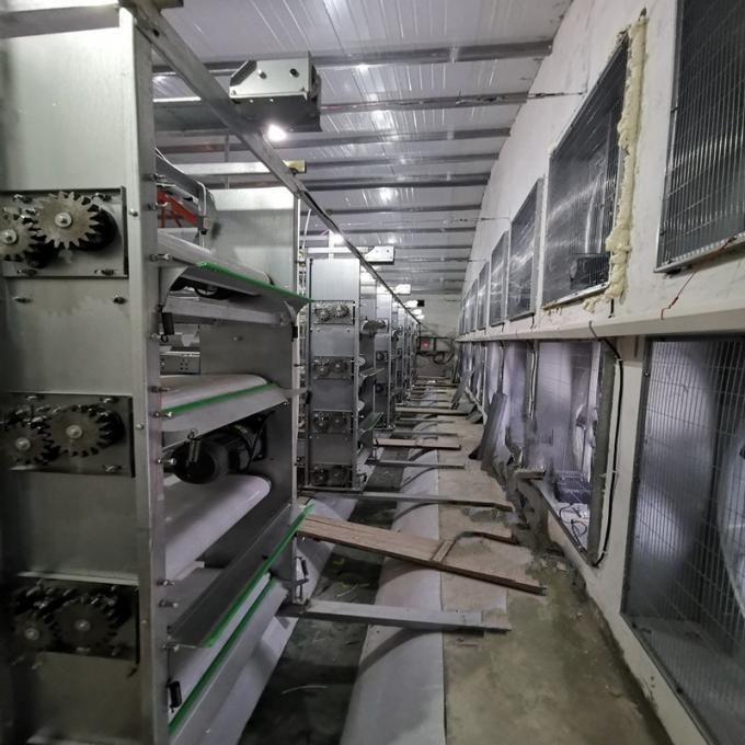 The 2025 Ultimate Procurement Guide for Poultry Manure Belts