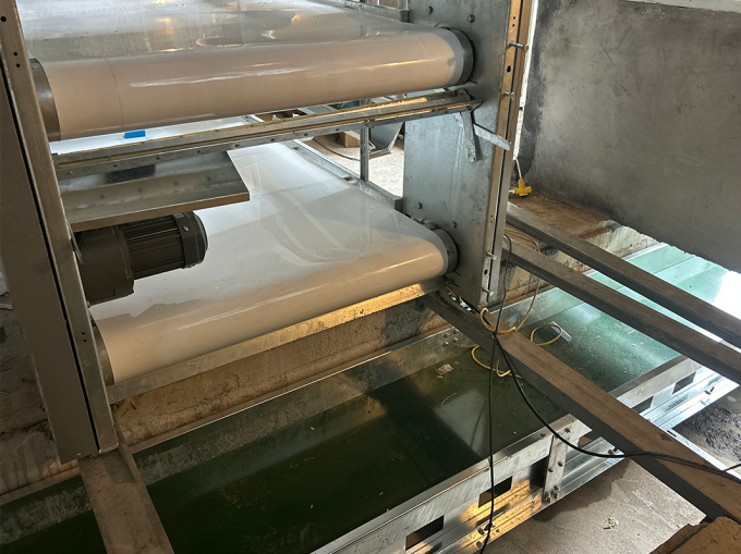 Manure Conveyor Belt: The Complete Poultry Farm Manure Removal System