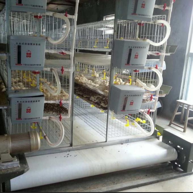 What Is the True ROI of a High Quality Poultry Manure Belt?