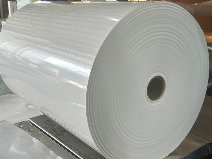 Zhongshen Manure Belts: The Cold-Weather Solution for Poultry Farms