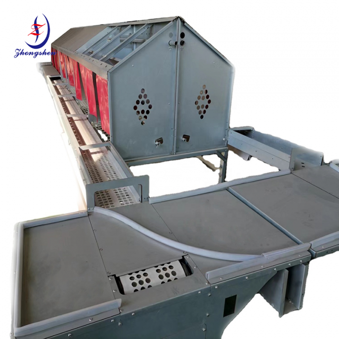 What is a Perforated Egg Collection Belt?